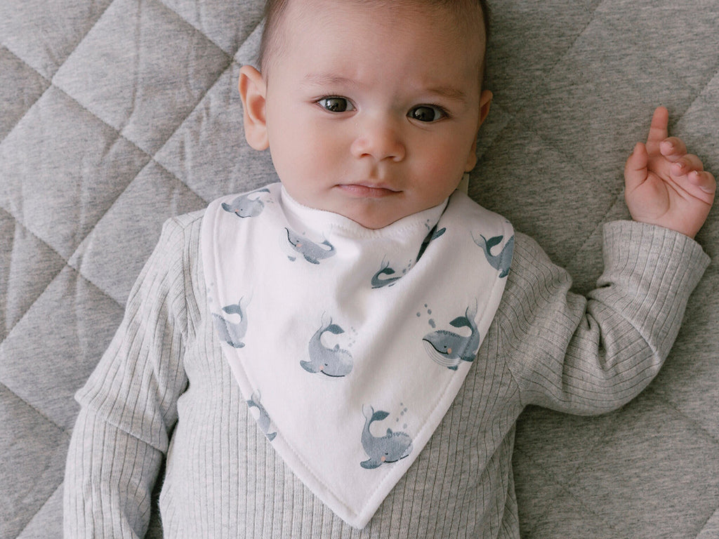 Mister Fly Whale Dribble Bib | Baby Gifts and essentials | Bibdana Bibs ...